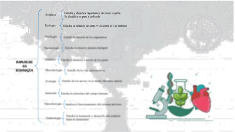 SOLUTION Ramas De La Biolog A Studypool