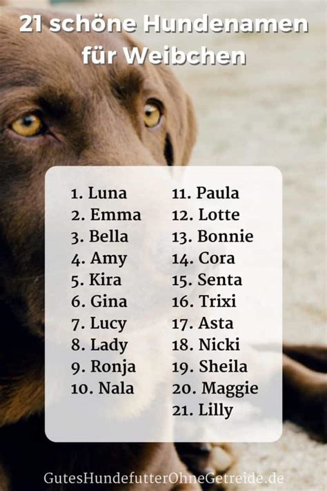 Hundenamen Schöne Namen für Hunde 2024 Liste von A bis Z