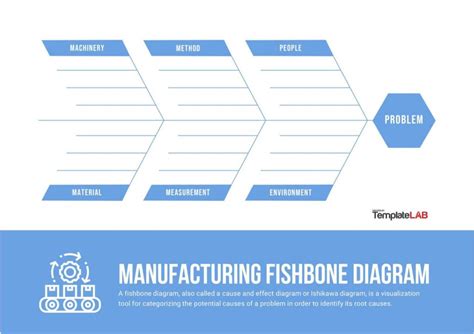 25 Excelentes Plantillas Y Ejemplos De Diagramas De Espina De Pescado