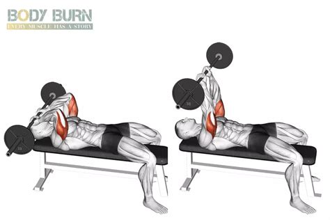Barre Front Triceps Exercices Body Burn