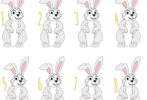 Enigme Du Jour Arriverez Vous Trouver L Intrus Parmi Les Lapins