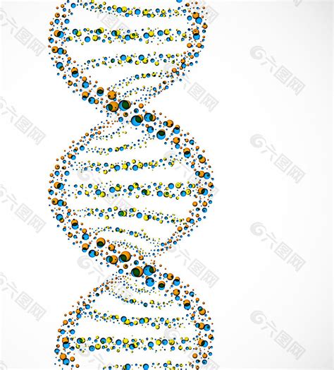 Dna