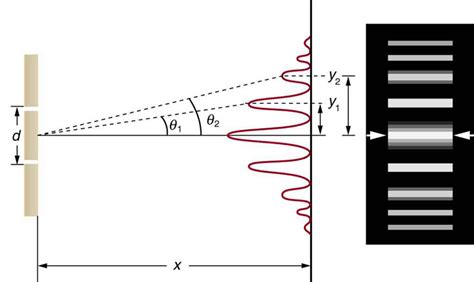 Double Slit Experiment
