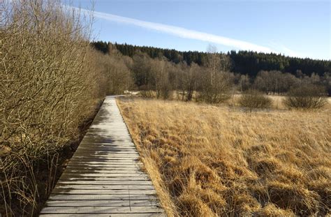 Bibracte Morvan Des Sommets Bibracte