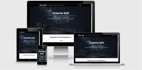 Be Your Fullstack Web Developer By Octarine06 Fiverr