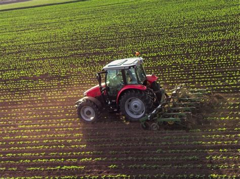 Agricultura Regenerativa Qu Es Ejemplos Y T Cnicas