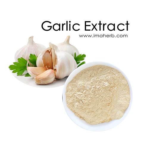 Garlic Extract Allicin Alliin Aged Black Garlic Extract Powder
