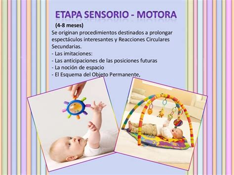 Etapa Sensoriomotora Segun Piaget