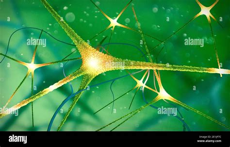 Vista microscópica de las sinapsis Conexiones cerebrales Neuronas y