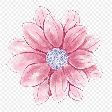 Pink Flowers Illustration Hd Transparent Pink Flower Cartoon