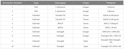frontiers development of simple sequence repeat markers for sugarcane from data mining of