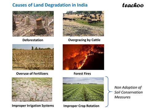 Economics Class Vast Natural Resources Of India Teachoo