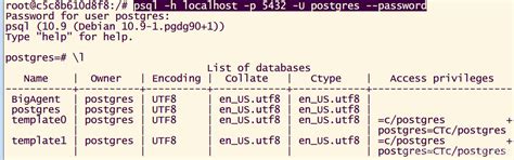 docker安装postgressql和设置自定义数据目录 docker 安装postgres自定义目录 csdn博客
