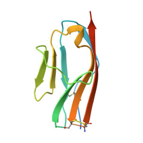 RCSB PDB 3KVQ Crystal Structure Of VEGFR2 Extracellular Domain D7
