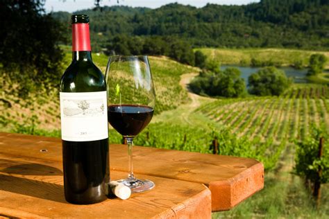 Wine Rout