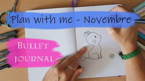 PLAN WITH ME SETUP NOVEMBRE thème chatons et pelotes de laine