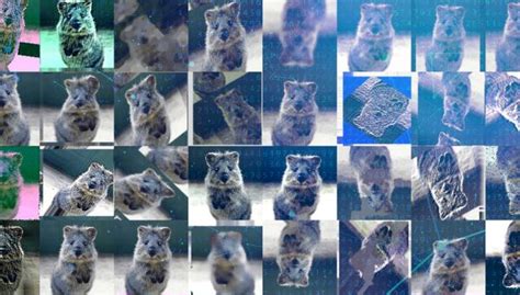 data augmentation for deep learning algorithms affine