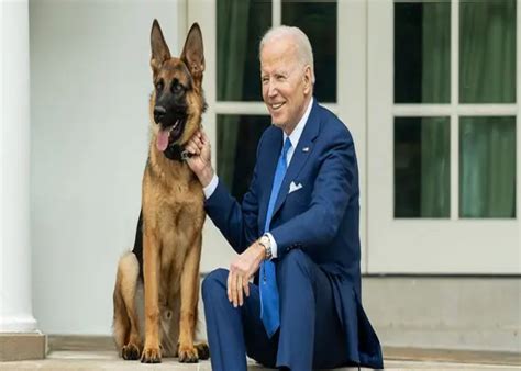 El perro de Joe Biden volvió a atacar a un trabajador de la Casa
