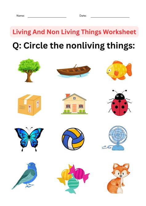 Science Living And Non Living Things Worksheet For Grade