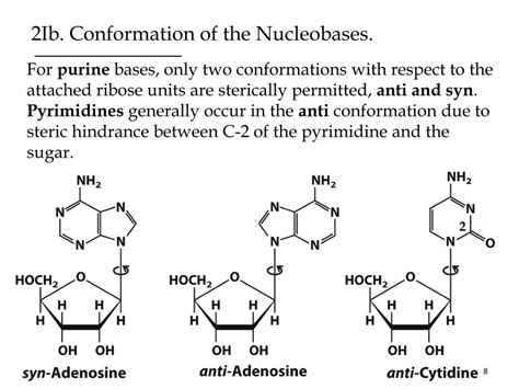 PPT Nucleic Acid Structure And Stability PowerPoint Presentation