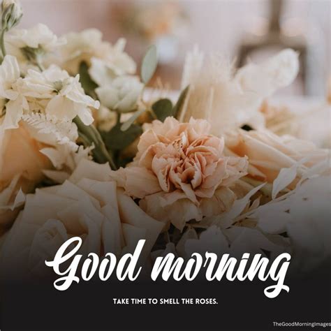 Incredible Compilation Of Over 999 Good Morning Images In Stunning 4K