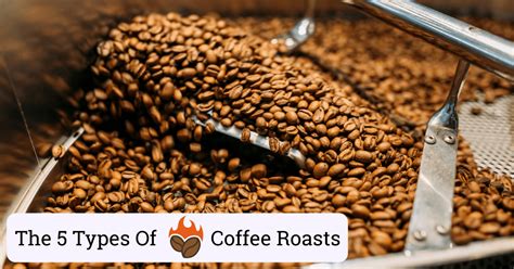 The 5 Types Of Coffee Roasts A Complete Guide