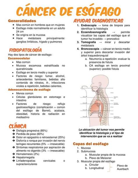 Cáncer de Esófago Ana María Carreño Vásquez uDocz