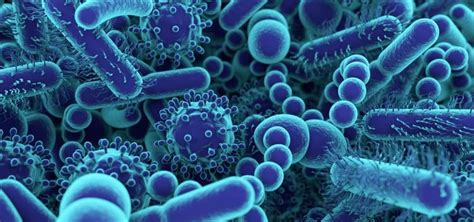 New Tools For Mapping Human Microbiome Of The Human Body