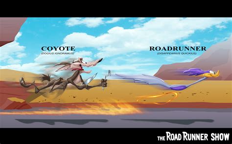 Looney Tunes 1080P Speedy Gonzales TV Show Wile E Coyote And The