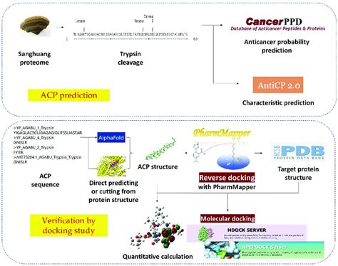 Schematic Illustration Of The Steps Involved In The In Silico Discovery