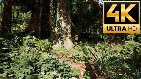 This Insane Unreal Engine 5 Forest Scene Is Truly Next Level YouTube