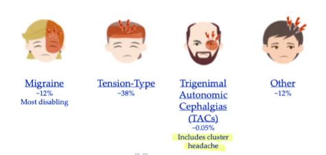 NEURO BLOCK 2 EXAM Flashcards Quizlet