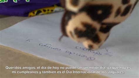 SEMARNAT México on Twitter RT Mary Luisa AG Hoy es cumpleaños de