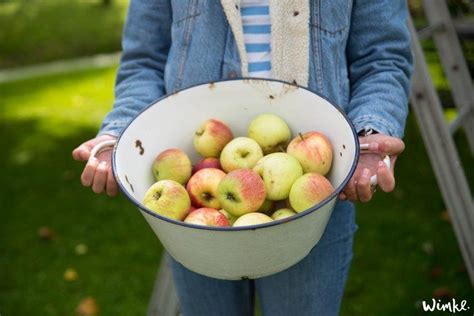 Recepten Gezonde Snel Te Maken En Lekkere Recepten
