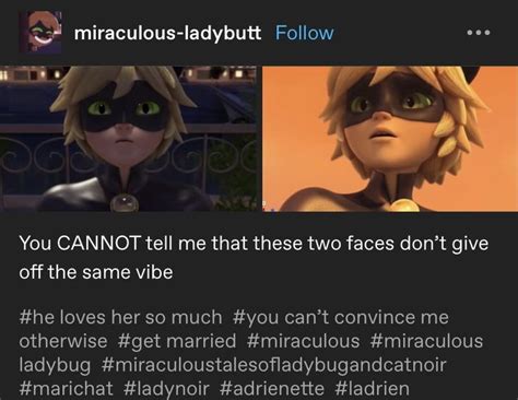 Pin By Bianca Avaro On Miraculous Ladybug Entertainment Memes