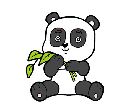 Dibujos De Osos Faciles Para Colorear Y Dibujar Caricaturasdavid