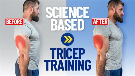 ABSOLUTE BEST Science Based TRICEPS Workout