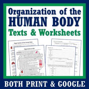 Genetics And Heredity Sex Linked Traits Worksheet Flying Colors Science