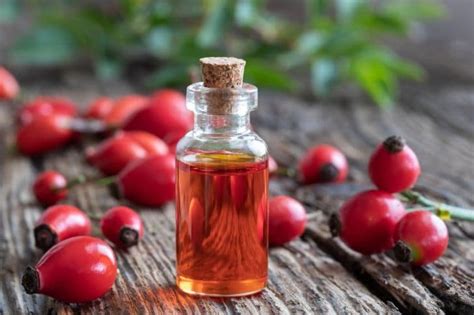 Aceite de Rosa Mosqueta Para Qué sirve Propiedades y Beneficios