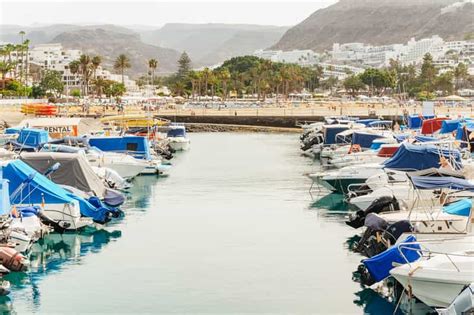 Grande Canarie Observation Des Dauphins Et Des Baleines GetYourGuide