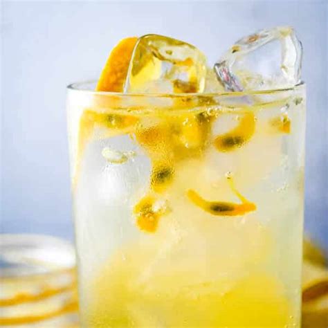 Skyy Vodka Recipes Passion Fruit Dandk Organizer