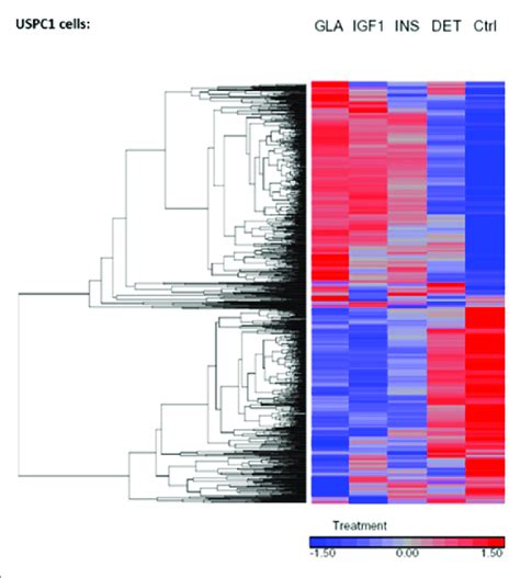 Hierarchical Clustering Map Of Differential Gene Expression In Uspc