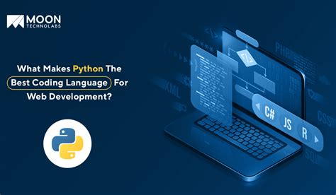 why python become a top of web development coding languages moon technolabs