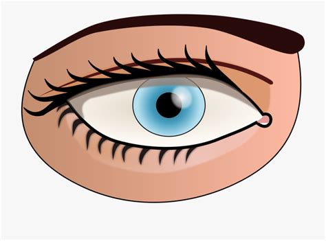 Body Part Clipart Eye Pictures On Cliparts Pub 2020