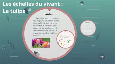 Les échelles du vivant au niveau végétal by JVS CJB on Prezi