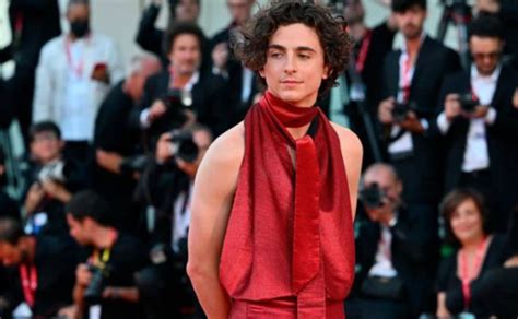 Revelan a cuánto asciende la fortuna de Timothée Chalamet