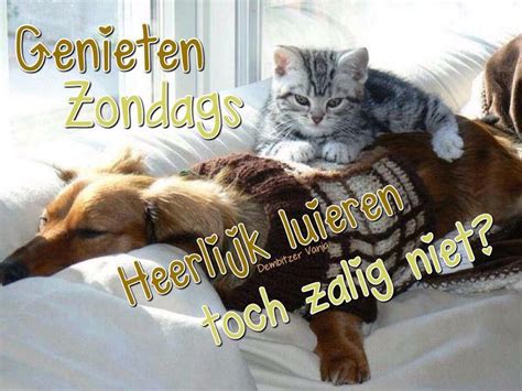61 Zondag Plaatjes Met Berichten En Citaten Beste Krabbels