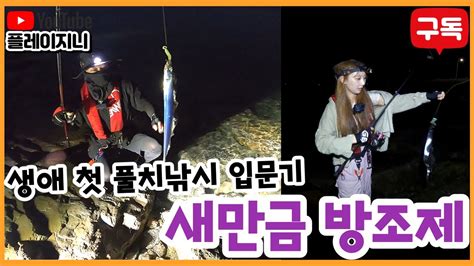 낚시 초보도 마릿수 할수 있어요 생애 첫 새만금 풀치낚시 새만금방조제 YouTube