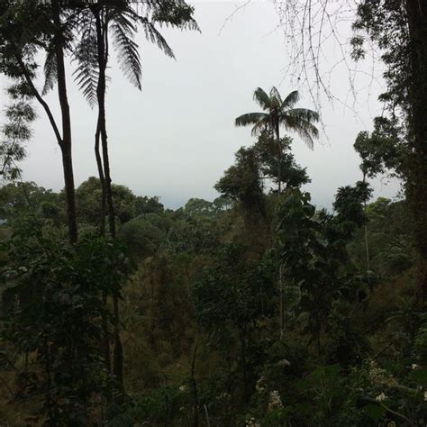 Parque Nacional De Itatiaia Parte Baixa National Park