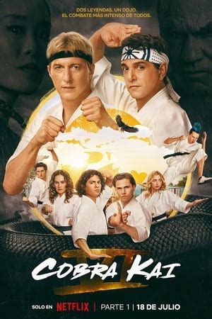 Ver Todos Los Episodios De La Temporada 6 De La Serie Cobra Kai Online